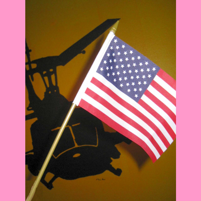 U.S. Stick Flag - Garageland