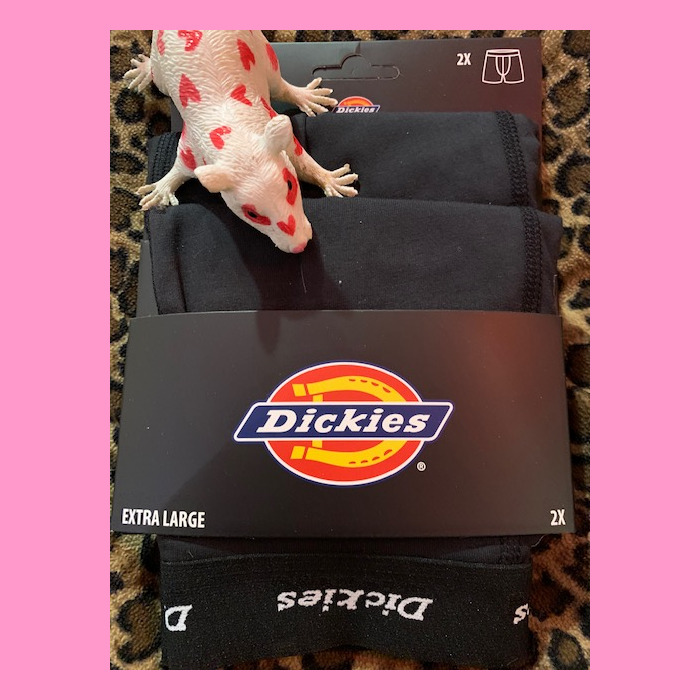 Dickies 2 Pack Trunks, Black - Garageland