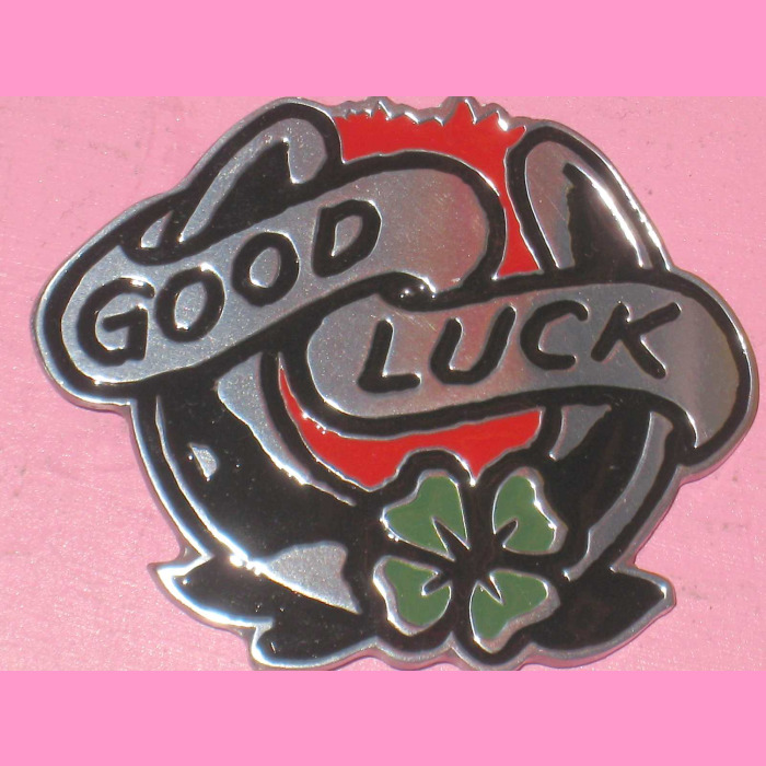 Good Luck Buckle - Garageland